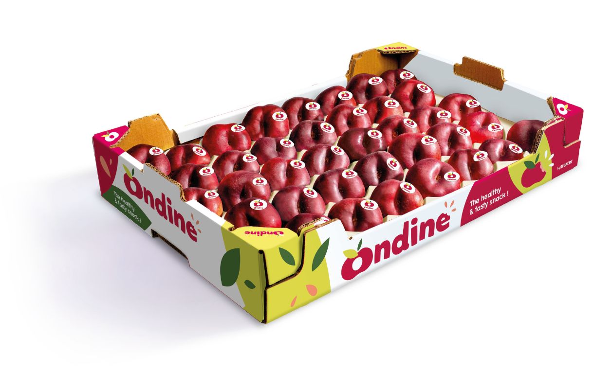 Ondine - Nectarina plana | Ondine